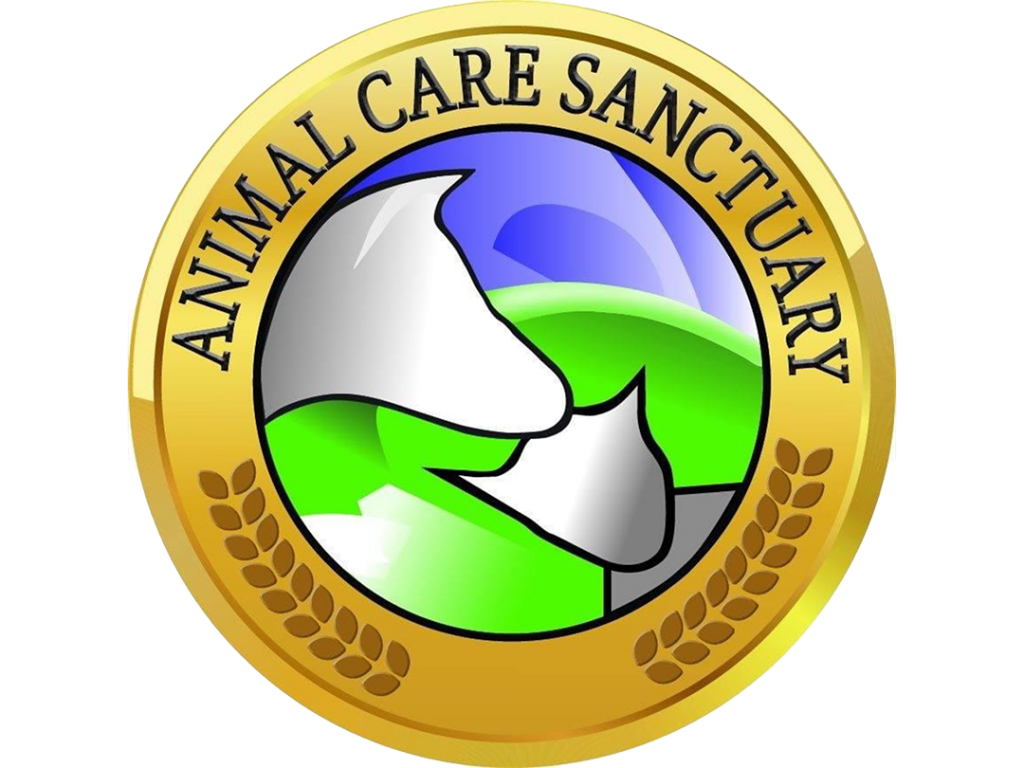 animal care sanctuary | Animal Aid USA
